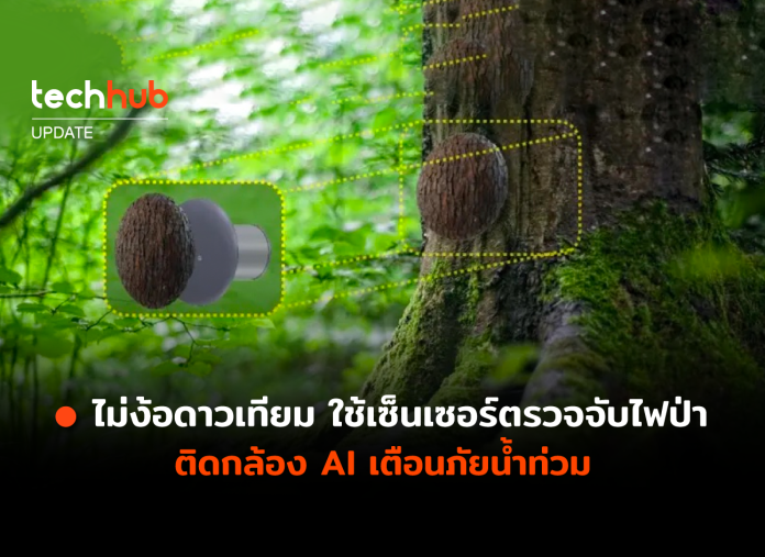 SATTLELITE-FOREST-WEB-696x507 - องค์การรักษาความปลอดภัยฝ่ายพลเรือน